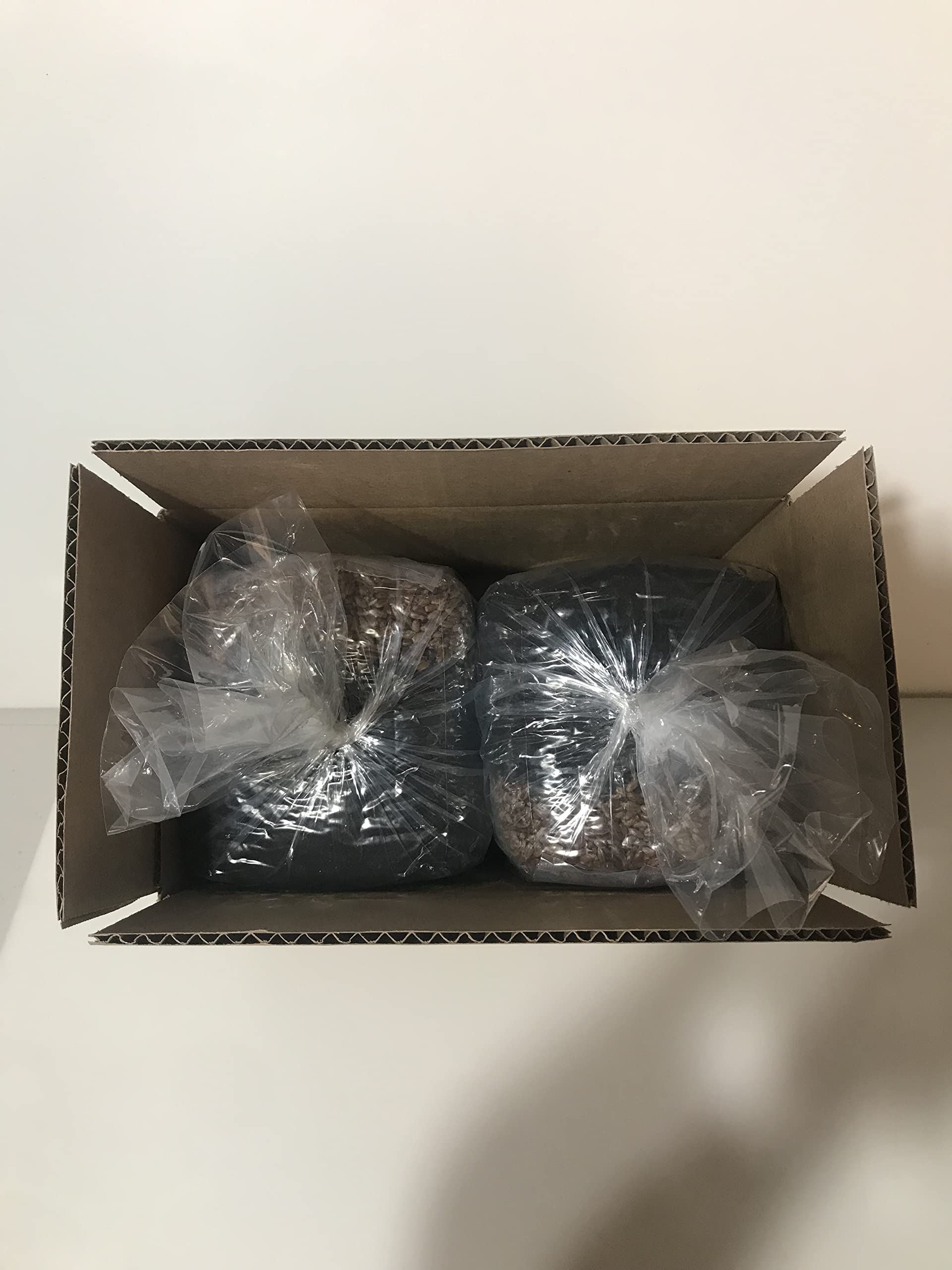 Mushroom Grow Kit - Magic All in One Mushroom Grow Bags - 4 Pack