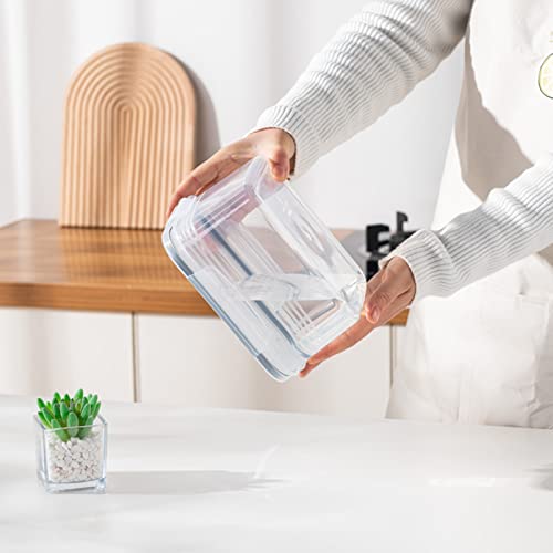 Yiser Double Layer Draining Basket Fresh Keeping Box Kitchen Supplies Sealed Box Plastic Fresh Keeping Box Refrigerator Fruit Storage Sticky Rice Basket (C, One Size)