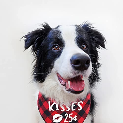Valentine Holiday Dog Bandana, Cat Red Buffalo Bandana for Large Medium Small Pets Puppies (Large)