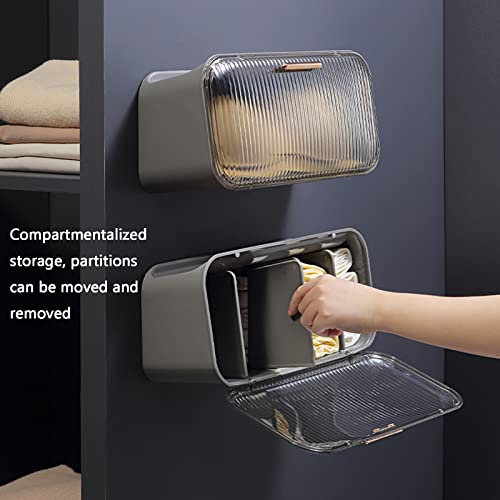 YLNAPUOPJIA Socks Underwear Panties Organizer Box, Household Anti Dust Closet Wall-mounted Organization Storage Box, Organizers Boxes for Storing Socks,Underwear, Panties
