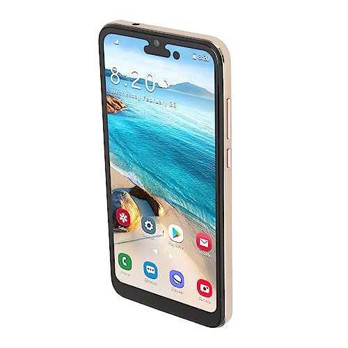 LANTRO JS Gold 6.1in Smartphone with 4GB RAM, 64GB ROM, 4000mAh Battery, Face Recognition, Android 11, and 4G Network, Compatible with EU Plug, ABS Glass Material