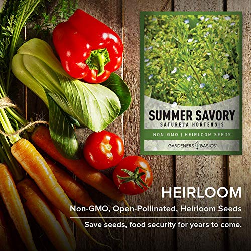 Summer Savory Seeds for Planting is A Heirloom, Non-GMO Herb Variety- Satureja Hortensis Herb Seeds Great for Indoor, Outdoor, Hydroponic Gardening by Gardeners Basics