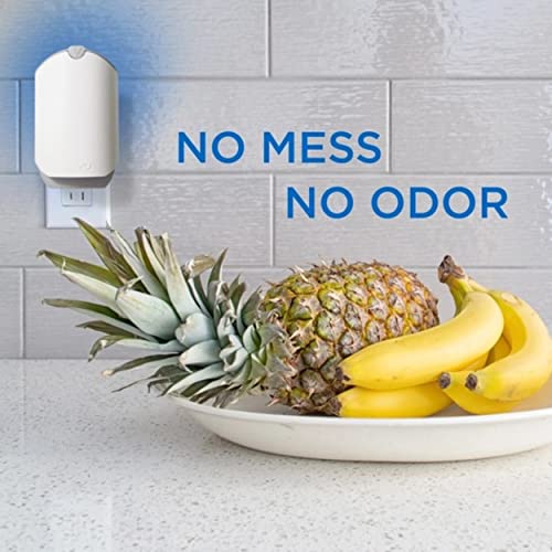ZEVO Indoor Flying Insect Trap for Fruit Flies, Gnats, and House Flies (1 Plug-in Base + 3 Refill Cartridge)