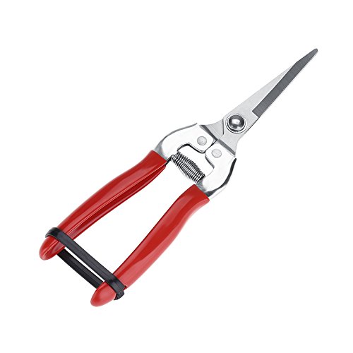 Pruner Stainless Steel,Garden Scissor, Fruit Tree Bonsai Gardening Pruning Shear Pruner Garden Snips Spring Tool(Straight)