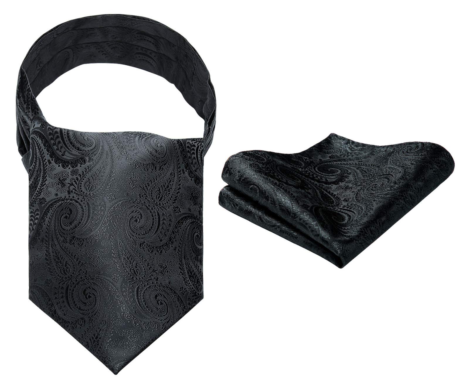 HISDERN Cravat Ties for Men with Pocket Square Casual Paisley Ascot Self Tie Scarf Handkerchief Set for Business Prom