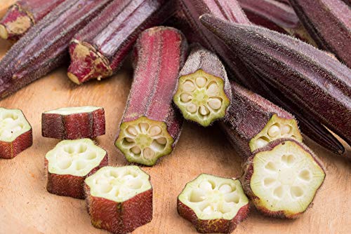 Red Burgundy Okra Seeds for Planting, 100+ Heirloom Seeds Per Packet, (Isla's Garden Seeds), Non GMO Seeds, Botanical Name: Abelmoschus esculentus, Great Home Garden Gift