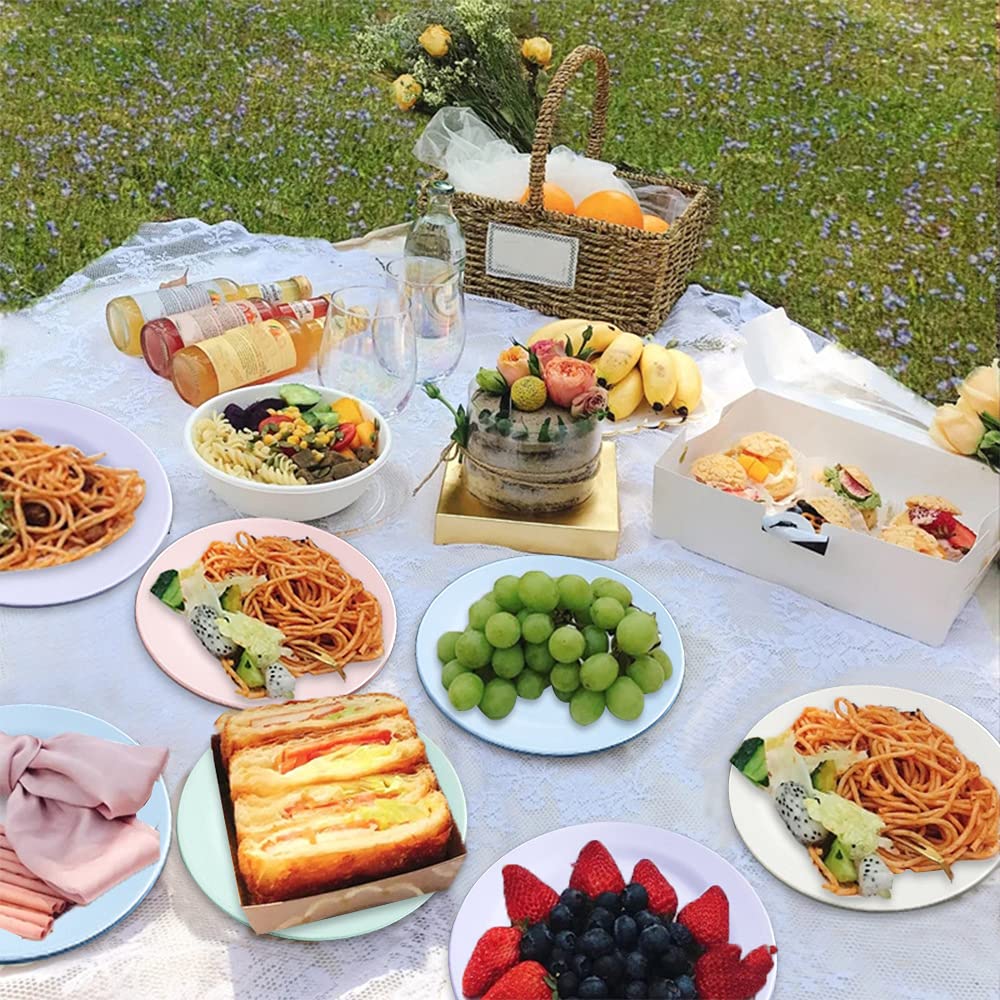 NA 10" 11" Dinner Plates Set of 10, Reusable Wheat Straw Dessert Dishes, Round Pasta Salad Serving Plate, Unbreakable Fiber Dinnerware for Party Steak Pizza (Pink)