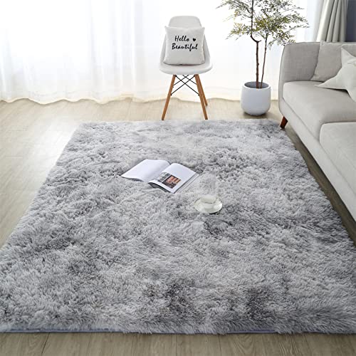 YXDSUBI Rugs for Bedroom Dorm, Fluffy Fuzzy Soft Carpet, Shaggy Throw Rug for Nursery Room, Indoor Floor Living Room Carpet for Kids Girls Boys Teen Home Decor Aesthetic (Light Gray, 2.6x4Feet)