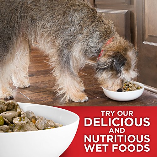 Hill's Science Diet Dry Dog Food, Adult, Small Bites, Chicken & Barley Recipe, 17 LB Bag