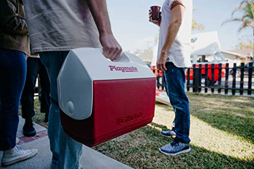 Igloo Playmate Elite Cooler Red/White, 16 Qt