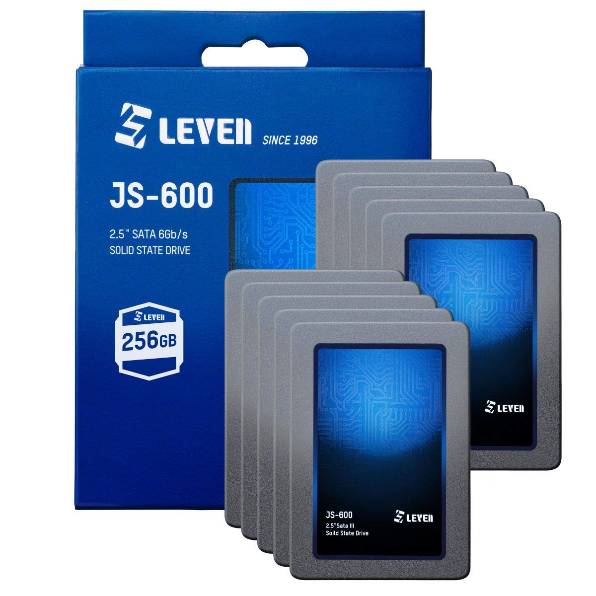 LEVEN JS600 SSD 256GB (Retail 10 Pack) - up to 550MB/s - 3D NAND SATA III Internal Solid State Drive