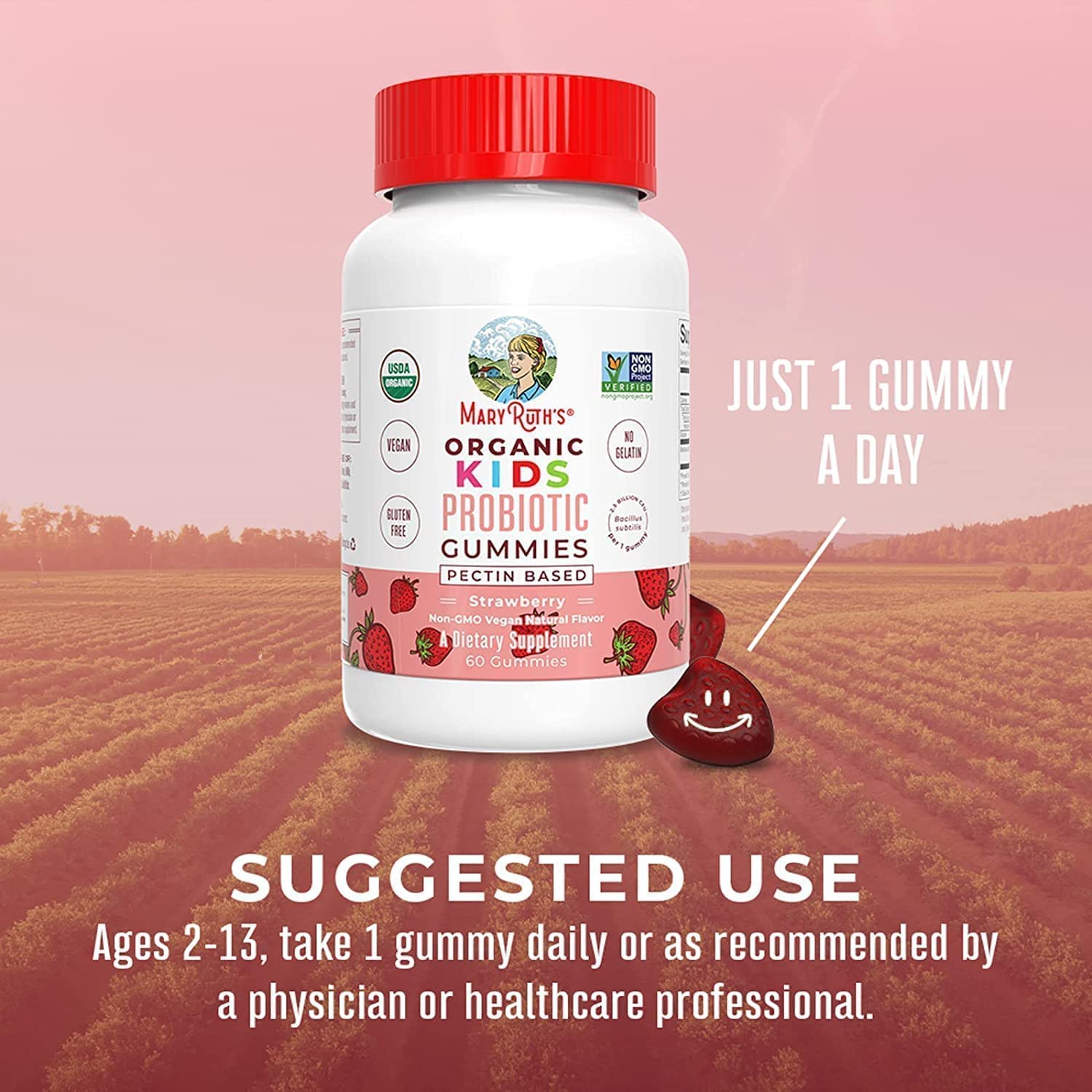 MaryRuth Organics Elderberry Gummies for Immune Support (Sugar Free) & Kids Probiotic USDA Organic Gummies Bundle | Supports Immune Function | Digestive & Gut Health Supplement for Kids