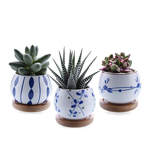 T4U 2.5 Inch Ceramic Succulent Planter Pot with Bamboo Saucer Set of 3, Cactus Plant Pot Flower Pot Container Planter Gift for Home Office Indoor Decoration Blue and White Pots