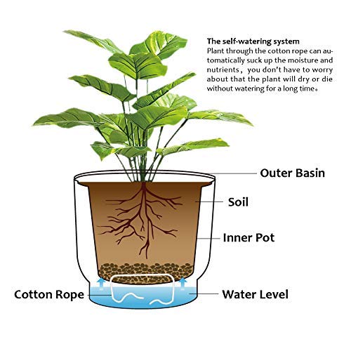 T4U 6 Inch Self Watering Pots for Indoor Plants, 6 Pack White Plastic Flower Pots for All House Plants, Flowers, African Violets