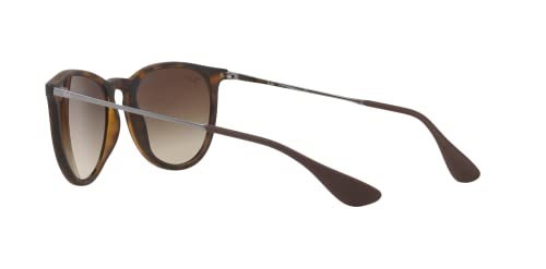 Ray-Ban RB4171 Erika 865/13 54mm Rubber Havana/Brown Gradient Sunglasses for Woman + VISIOVA Accessories Bundle Kit