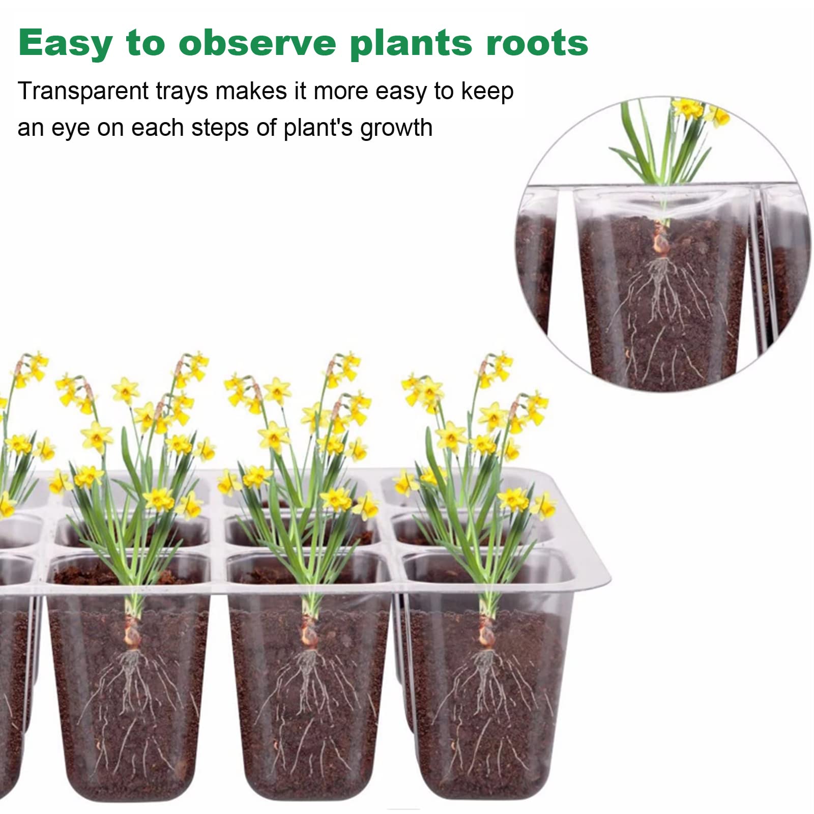 JCBritw 6-Pack Seed Starter Trays, 72-Cell Thickened Seed Starter Kit with Humidity Dome, Flat Reusable Plant Germination Trays with Drain Hole, Seeds Propagation Tray