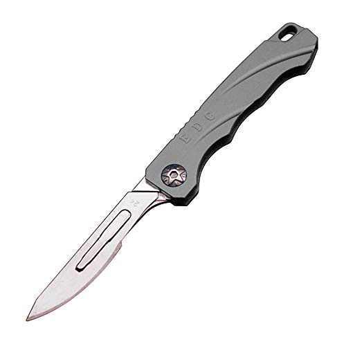 SZHOWORLD Mini EDC Pocket Knife,Aluminium Alloy Handle Carbon Steel Blade Folding Knife with 10 Extra Replaceable Blades,Portable Lightweight and Compact (Grey)