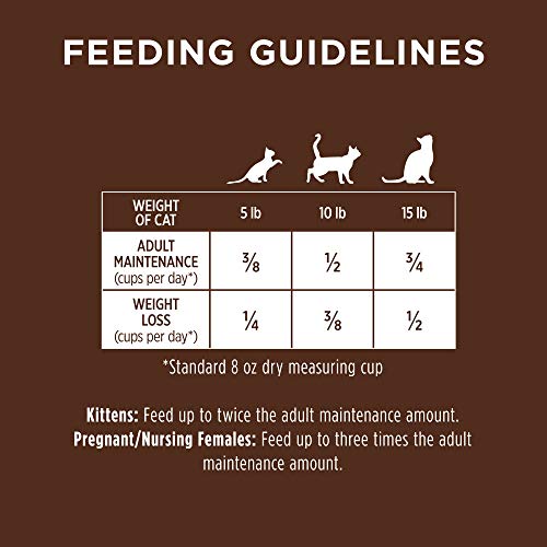 Instinct Original Grain Free Recipe with Real Rabbit Natural Dry Cat Food, 10 lb. Bag