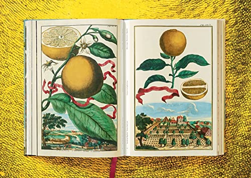 J. C. Volkamer The Book of Citrus Fruits: The Complete Plates 1708-1714, Numbered Edition 0971