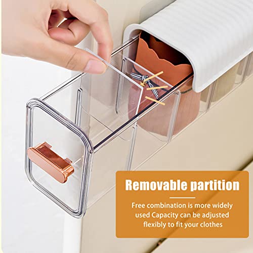 YWNYT Socks Underwear Wall Mount Drawer Organizer, 6 Cells Storage Box Switchable Drawer Organizers Anti Dust Storage Boxes for Clothes Socks Lingerie Underwear Ties Data Cable Seasonings (1), white