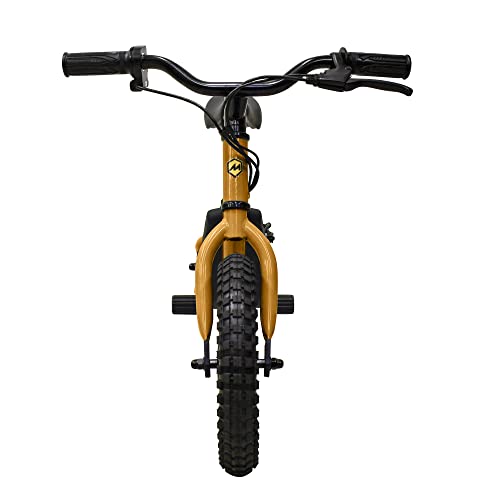 Massimo Motor E-11 Electric Bike for Kids 150 Watt, Age 3-8 yrs, 12in Wheels, Throttle Accelerate Adjustable Seat (Orange)