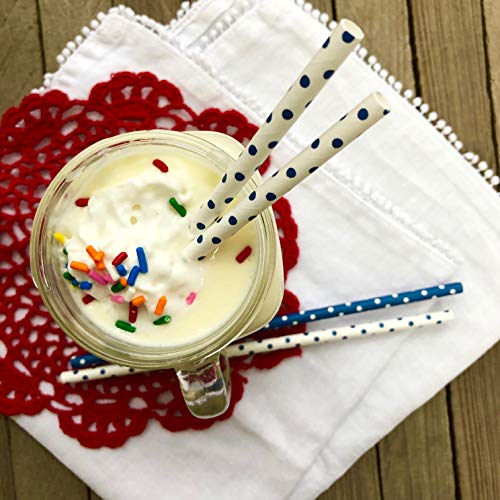 Navy Blue Silver and White Paper Straws - Polka Dot - 7.75 Inches - Pack of 100- Outside the Box Papers Brand