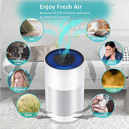 WSTA Portable Small Hepa Air Purifiers for Home,Bedroom,Office-White,W080C