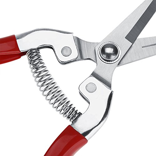 Pruner Stainless Steel,Garden Scissor, Fruit Tree Bonsai Gardening Pruning Shear Pruner Garden Snips Spring Tool(Straight)