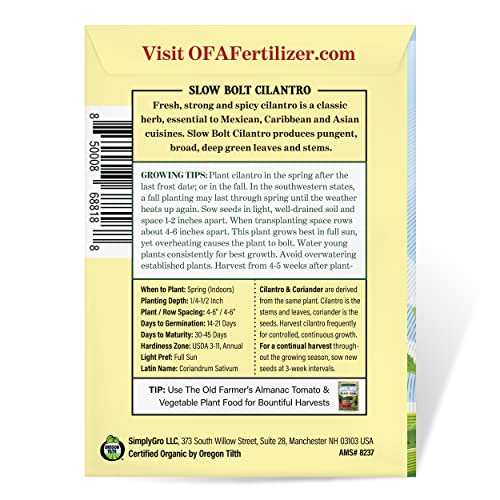 The Old Farmer's Almanac Heirloom Organic Cilantro Seeds (Slow Bolt) - Approx 180 Seeds - Certified Organic, Non-GMO, Open Pollinated, Heirloom, USA Origin