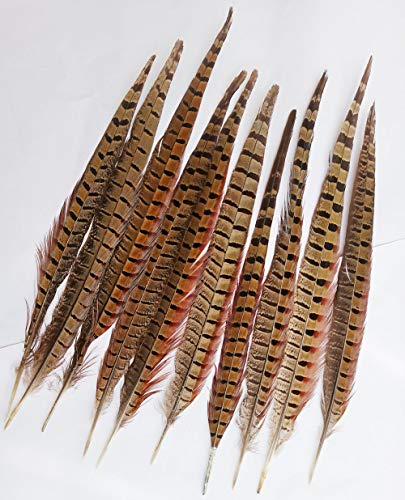 Lampu 10 Pcs 13-15 inch Natural Pheasant Feathers Pheasant Tails