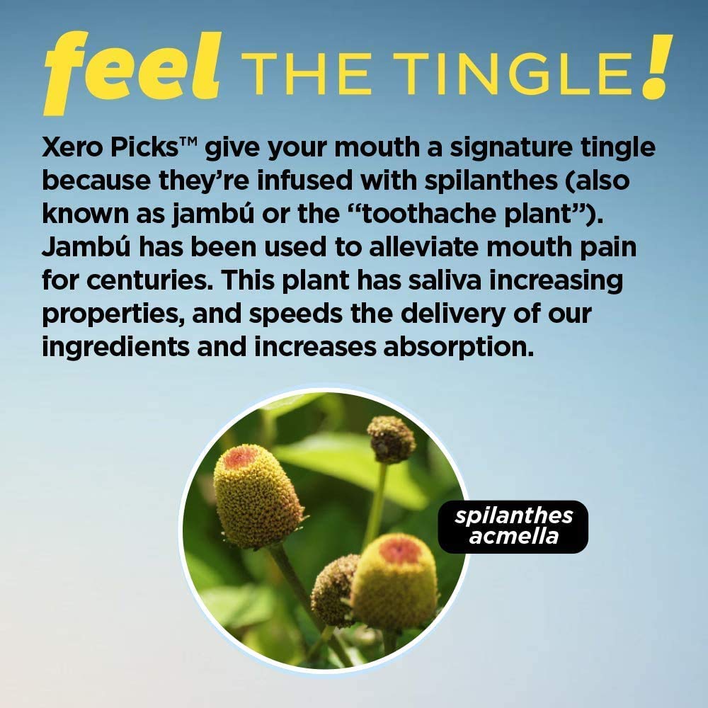 Xero Picks Tea Tree - Infused Flavored Toothpicks For Long Lasting Fresh Breath & Dry Mouth Prevention - 60 Picks - 3 Pack - Citrus