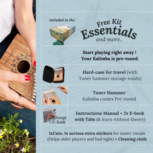 PAWPAW Kalimba 17 Keys w/hard case - C-Shape Solid Zebrawood - Carbon-rich Steel Keys - Essentials & more included (Manual + 2x easy Learn & Song E-books)…