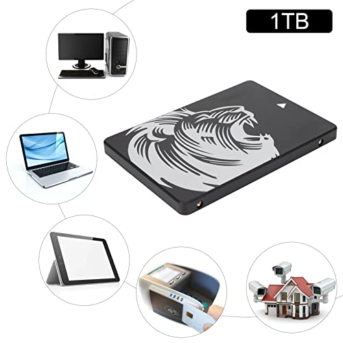 SSD 2.5 Static SSD Storage Portable Universal for Desktop Laptop
