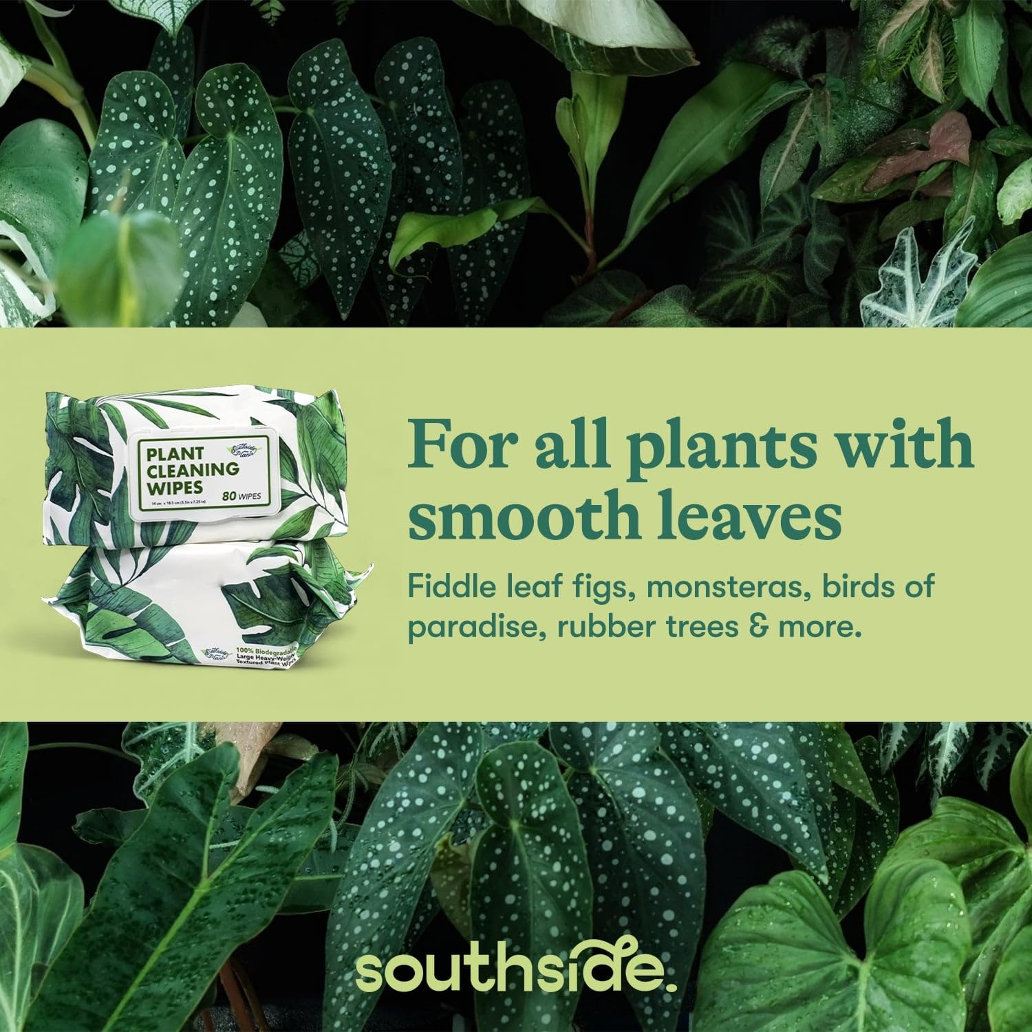 Plant Cleaning Wipes by Southside Plants - Gentle, Plant-Based Wipes for Shiny Leaves and Better Photosynthesis - Unscented, Extra Thick Waffle Weave Leaf Wipes for Indoor & Outdoor Plants - 80 Ct