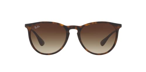Ray-Ban RB4171 Erika 865/13 54mm Rubber Havana/Brown Gradient Sunglasses for Woman + VISIOVA Accessories Bundle Kit