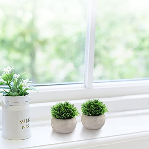 THE BLOOM TIMES 2 Pcs Fake Plants for Bathroom/Home Office Decor, Small Artificial Faux Greenery for House Decorations (Potted Plants)