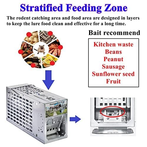 Joozer Humane Rat Trap That Work Live Mouse Trap Indoor Catch and Release Animal Cage Multi Large Bait Outdoor Reusable Chipmunk Mice Voles Rodent (1 Door 2pack)