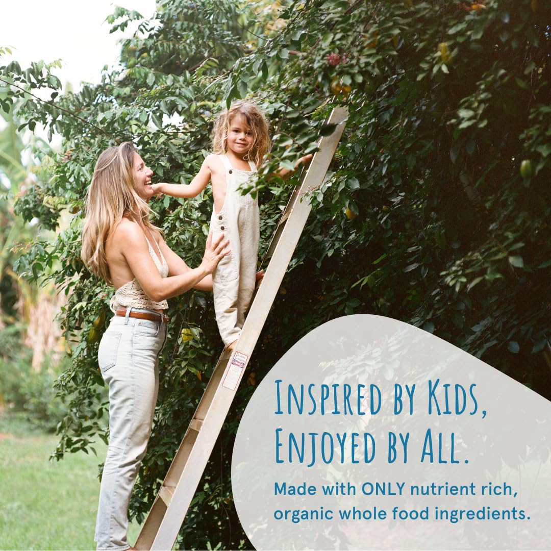 Kiki Milk Plant Based Milk - Organic Mac Nut Seed Based Milk - Calcium & Magnesium Source - Gluten Free, Gum Free, GMO Free, Dairy Free, Soy Free, Glyphosate Free - Shelf Stable - (32 oz • Pack of 6)