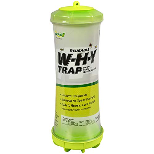 RESCUE! WHY Trap for Wasps, Hornets, & Yellowjackets โ Hanging Outdoor Trap