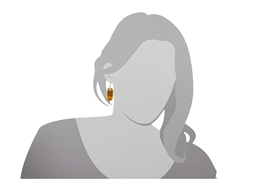 Kendra Scott Elle Drop Earring Tigers Eye One Size