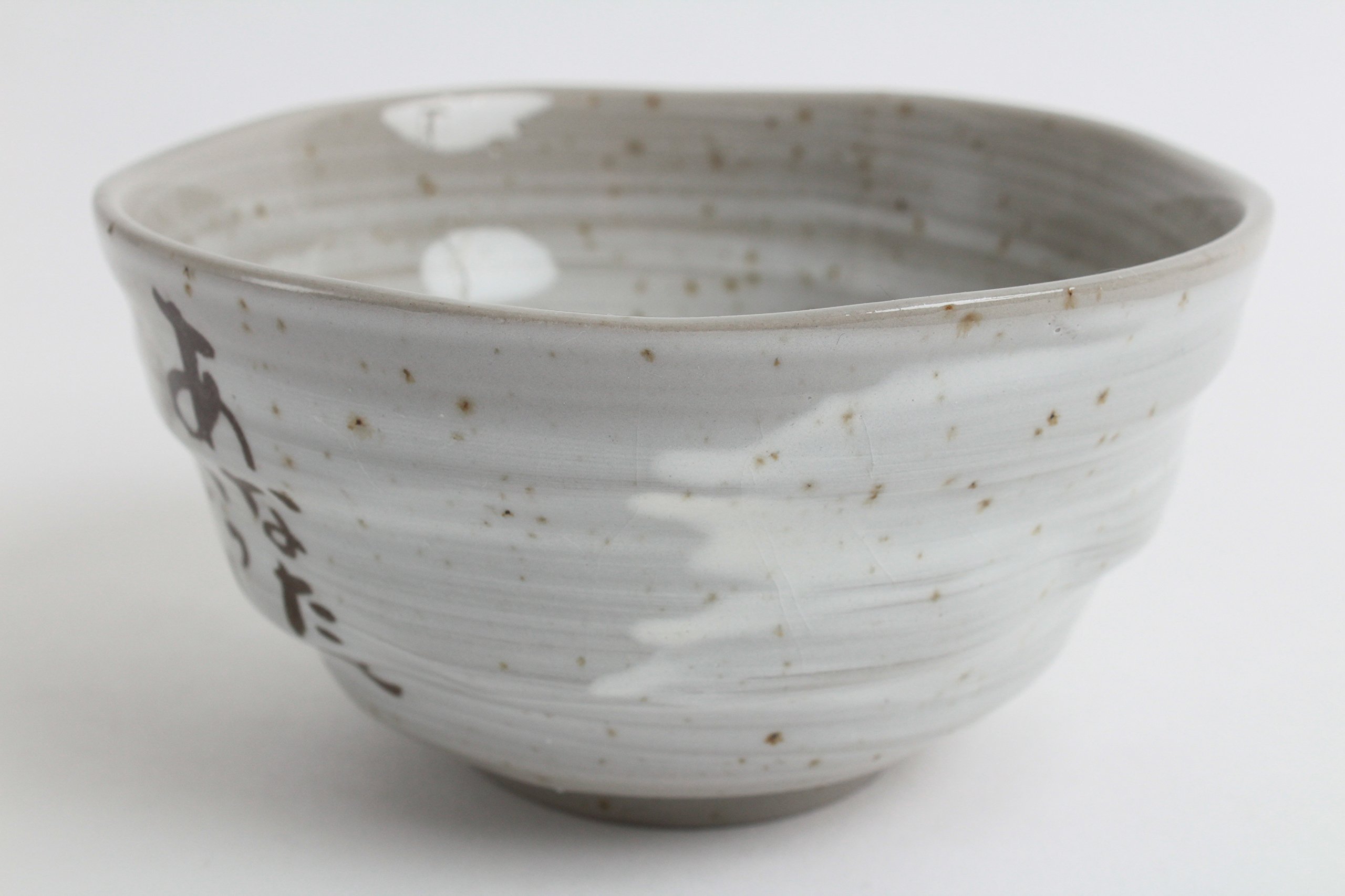 Mino ware Japanese Pottery Rice Bowl Running Rabbits Gray Sanaegama made in Japan (Japan Import) KSC002
