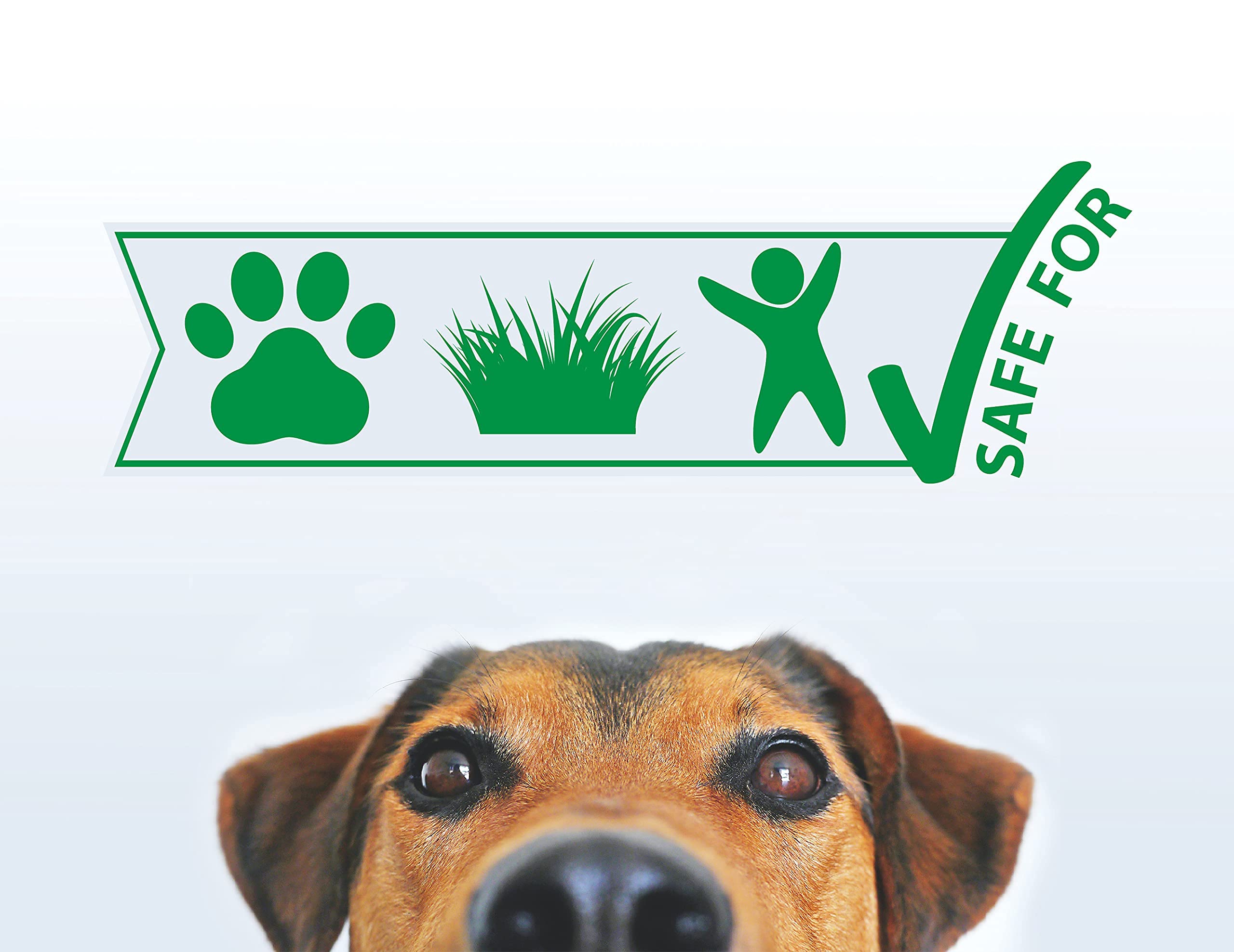Liquid Harvest Lawn Pee Spot Cover & Cure β Ready to Use 32 Ounces β Cover & Cure Brown Spots Caused by Canines