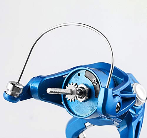 LLJPYX7L Fishing Reel with 2 Bearings, Large-Capacity Fishing Reel for Beginners, 5.0:1 Gear Ratio, Left/Right Rocker arm Interchangeable, Suitable for Beginners (Size : 6000)