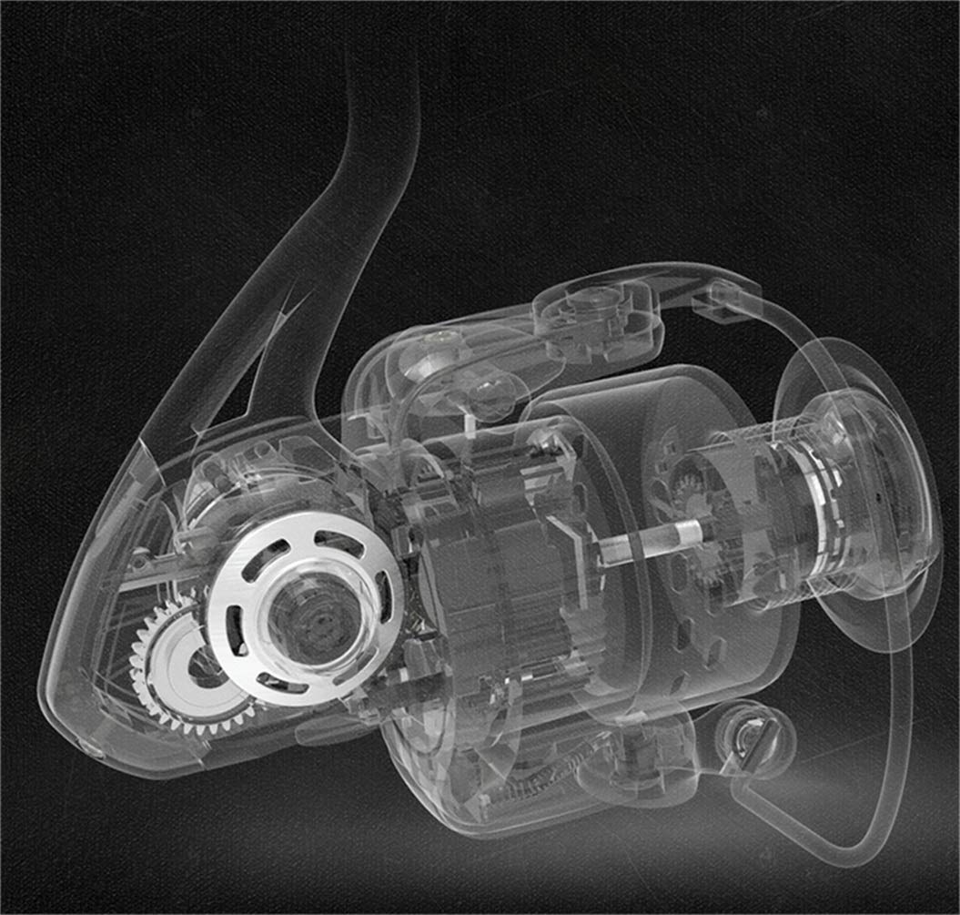 LLJPYX7L Fishing Reel, Premium Frame Super Smooth 13 + 1BB Bearing, Support Long Distance Throwing, 4.9:1/5.2:1 Gear Ratio, (Size : 5000)