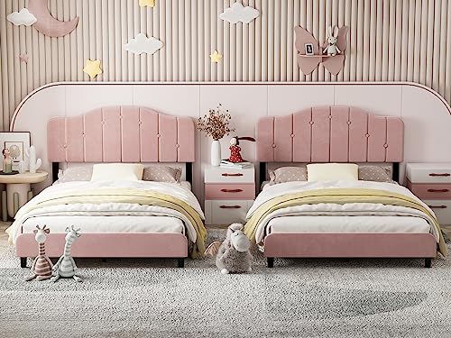 IKIFLY Velvet Upholstered Full Size Bed Frame - Button Tufted Full Platform Bed with Adjustable Headboard, Solid Wood Slats Support, No Box Spring Needed, Easy Assembly - Pink