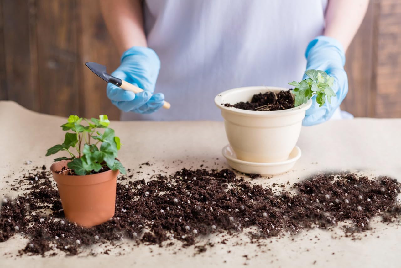 JFWOD 10 Quart 70/30 Coco Coir Perlite Potting Mix, Organic Garden Soil for Plant Growth, Great for Gardening Plants Flower Herbs and Vegetables