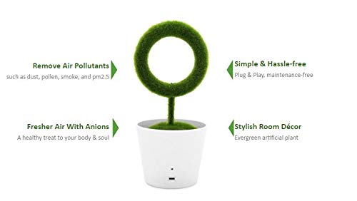 Rockwood Plant Air Purifier