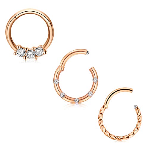 JFORYOU 16G Stainless Steel Daith Earring Hoop Hinged Segment Ring with Prong Set Clear CZ Gems Clicker Daith Clicker Helix Ear Piercing 3Pcs Silver Rosegold Black Choosable