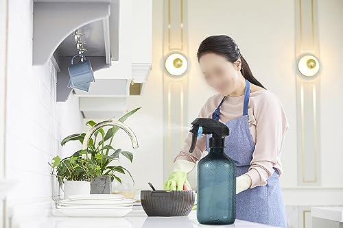 Yebeauty Plant Mister Spray Bottle, 2Pcs 17oz 500ml Fine Mist Plant Atomizer Watering Sprayer Bottle for Gardening Cleaning Solution with Top Pump Trigger Water, Clear Blue