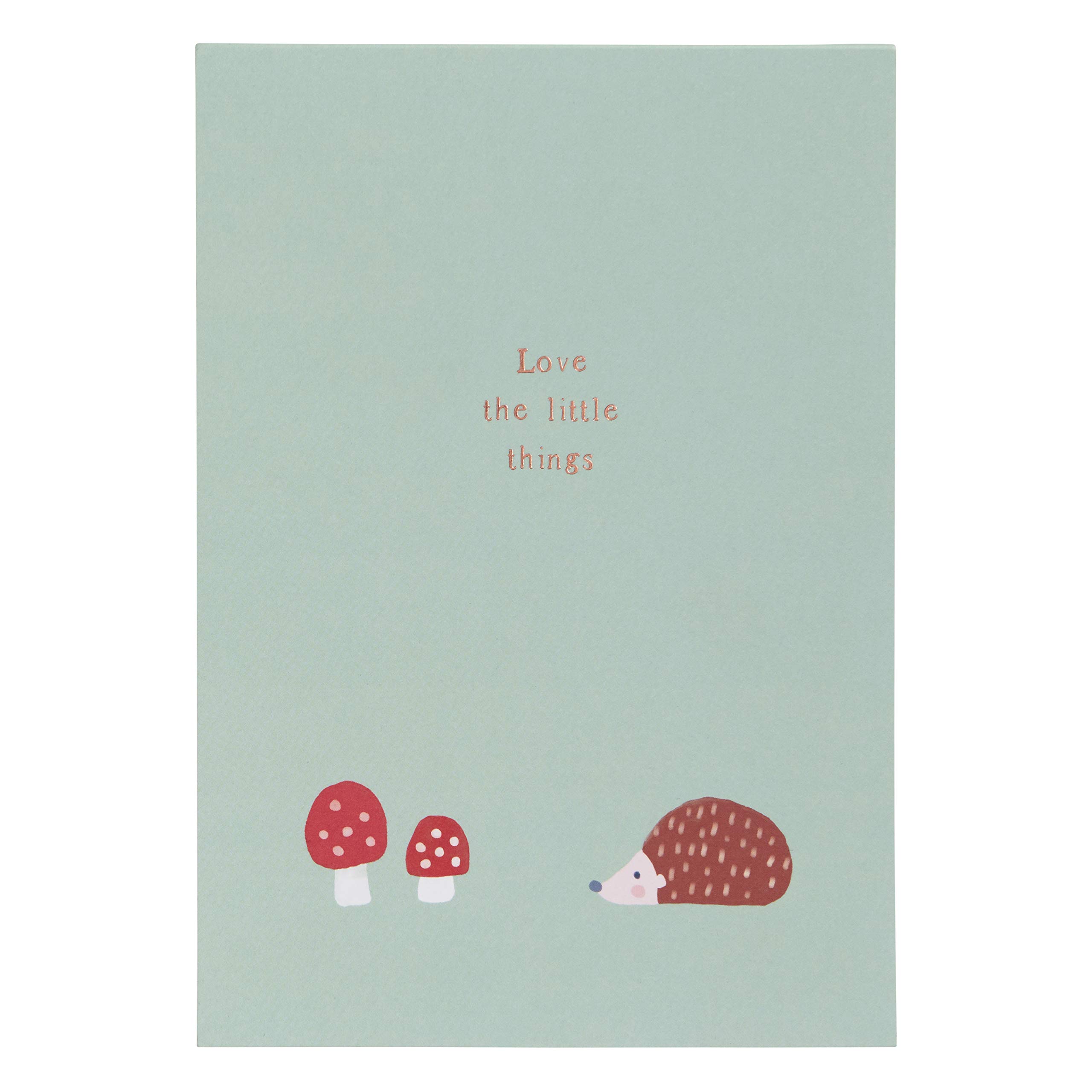 kikki.K Woodland Wanders Designer Collection - B6 Feature Notepad, Features a 120 Sheet Notepad with 16 Different Page Designs, Perfect Addition to Any Desk or Bag
